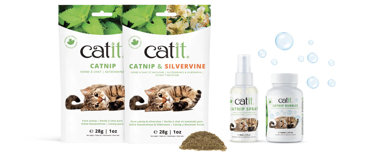 Catnip – Catit Canada