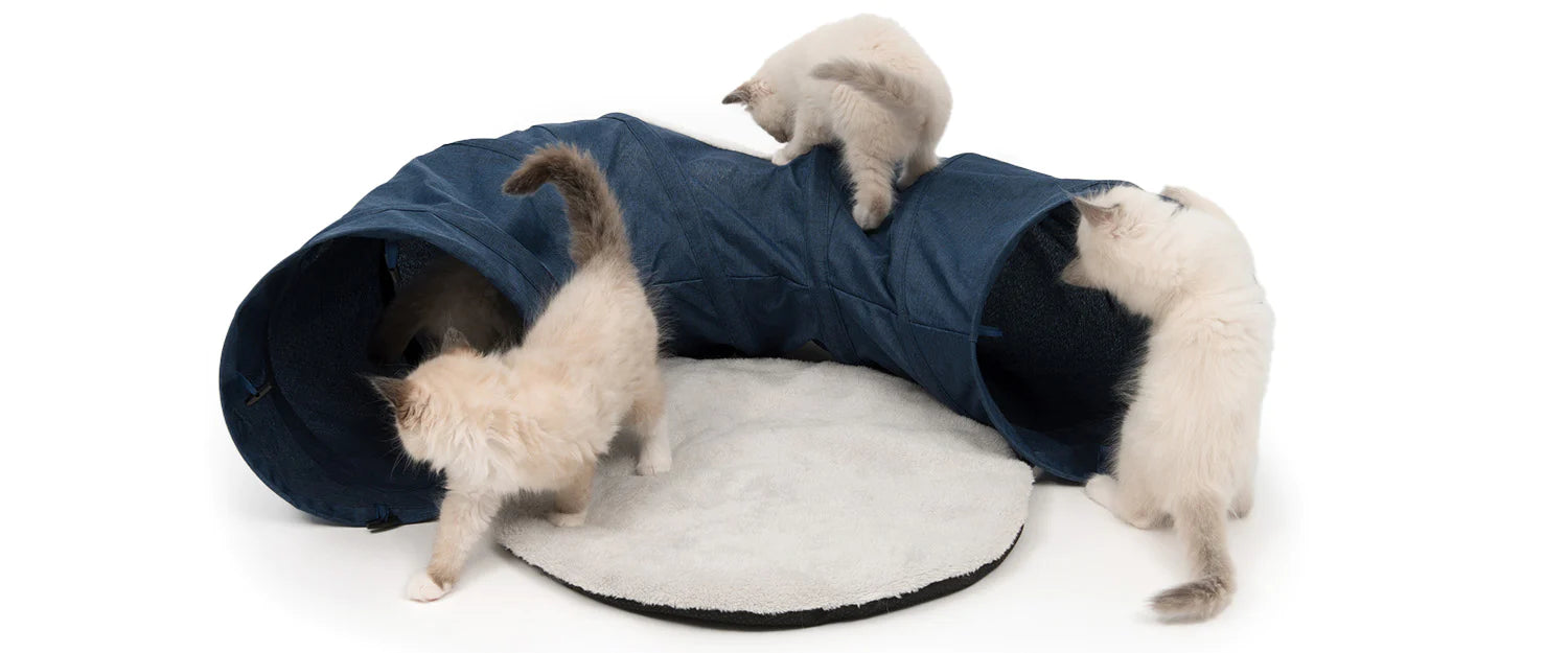 Cat Tunnels & Hideaways – Catit Canada