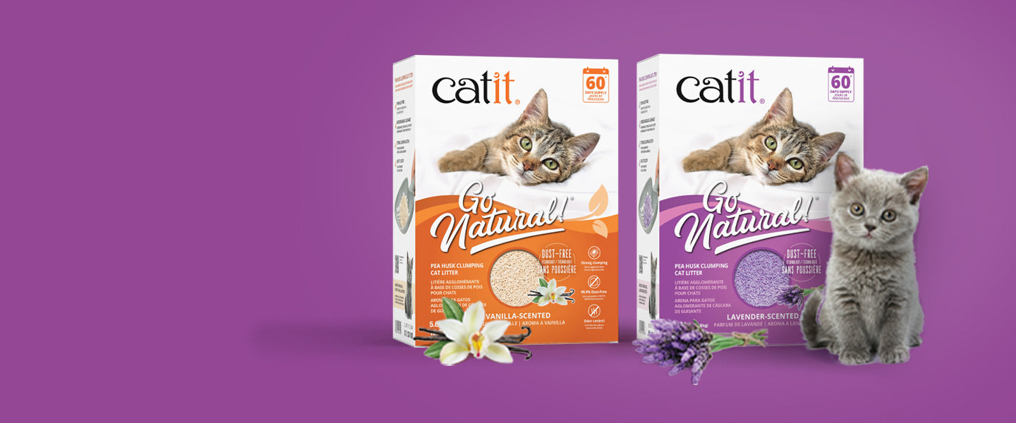 Catit Canada