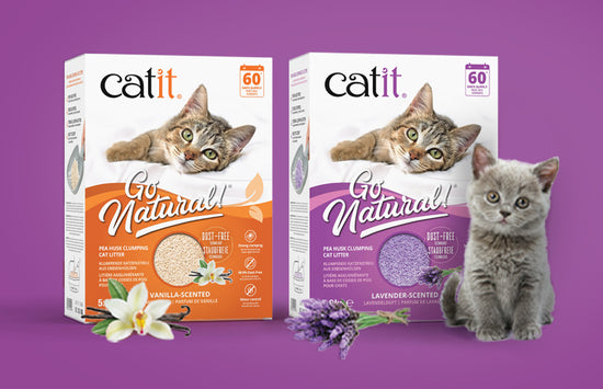 Catit Canada