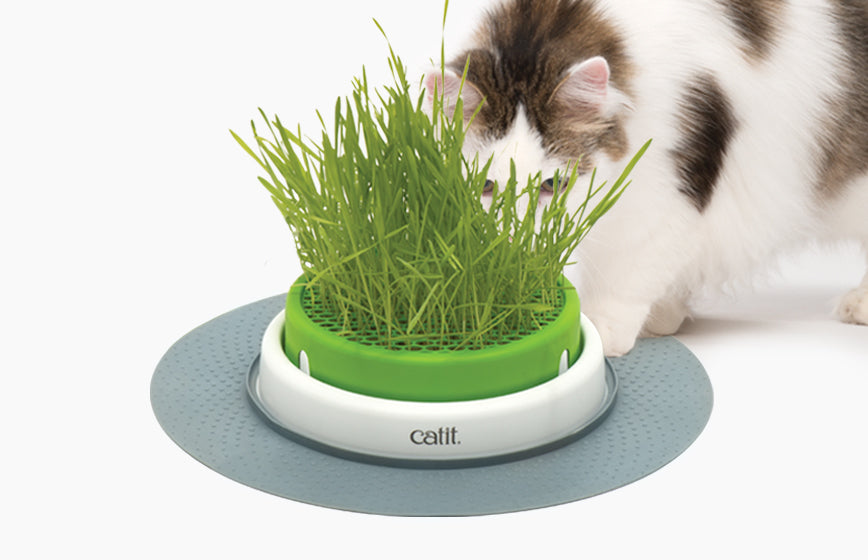 Catit Canada