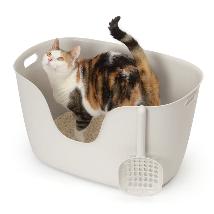 Try our products – Catit Canada