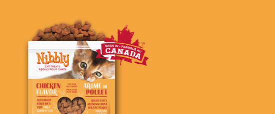 Catit Canada